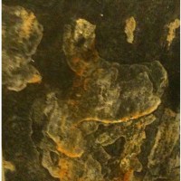 S.E. Barcus – Page 3 – Arts & Sciences & scribbling & bibbling